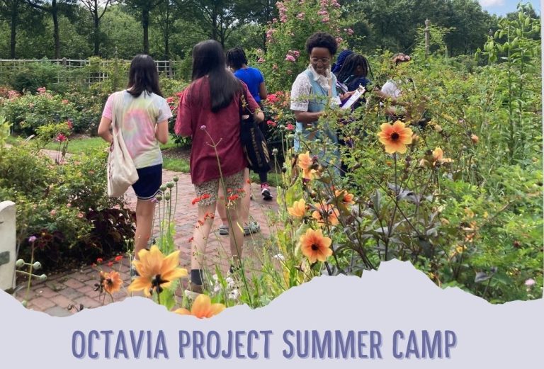 Join the Octavia Project Summer Camp